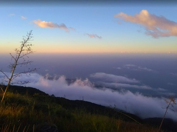 El Chagas pasó de enfermedad olvidada a ejemplo de los nuevos riesgos ...